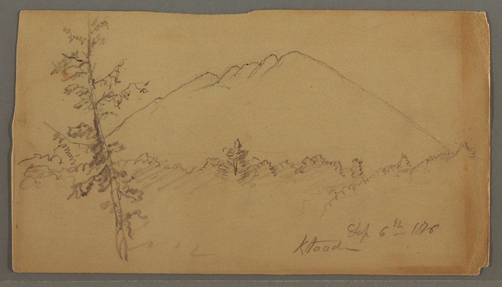 Zeichnung, Mt. Katahdin, Wald, Baum im Vordergrund