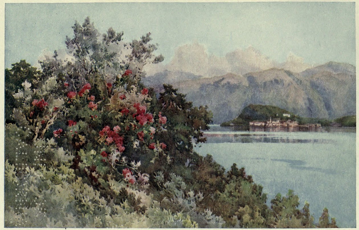 Rosen, Villa Carlotta, Lago di Como, Illustration aus 'Die ...