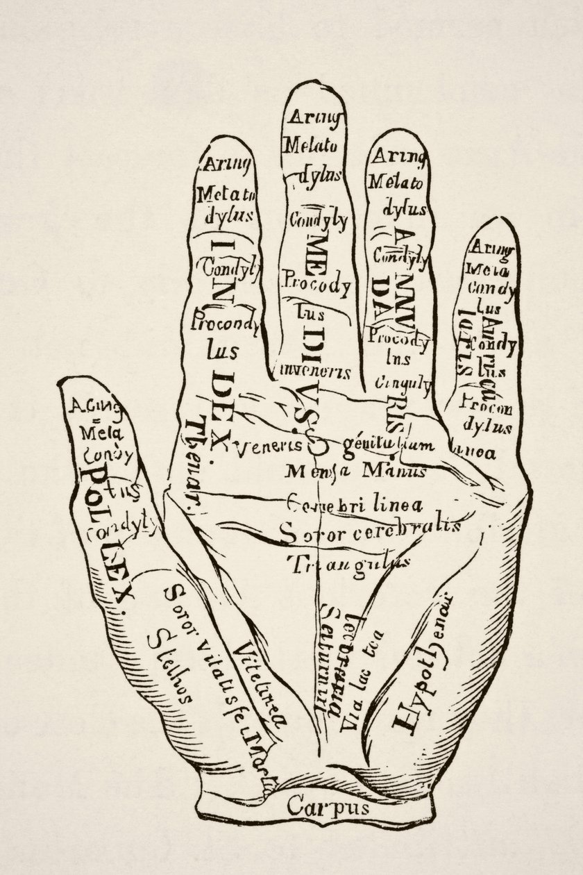 Exemplar der linken Hand mit den Linien und ihren horoskopischen ...