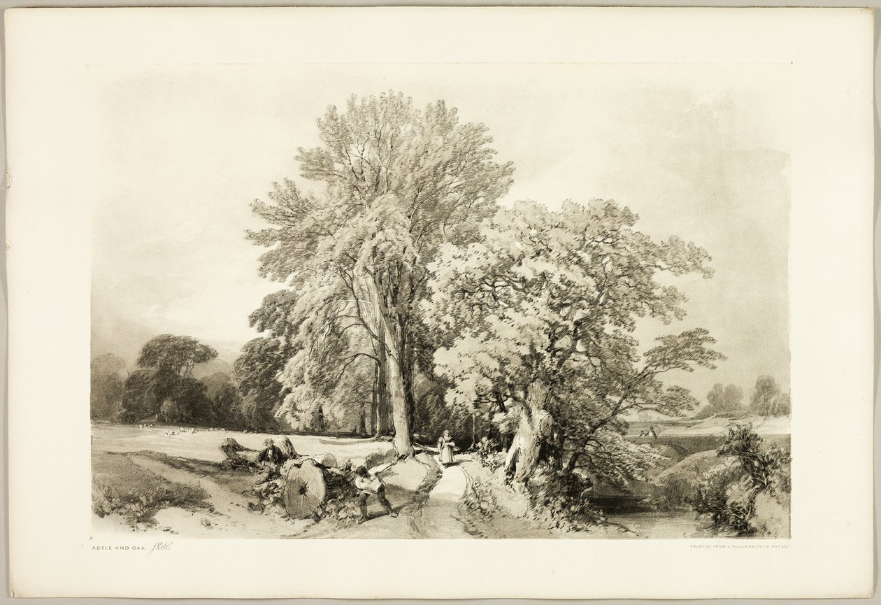 Esche und Eiche, aus Der Park und der Wald